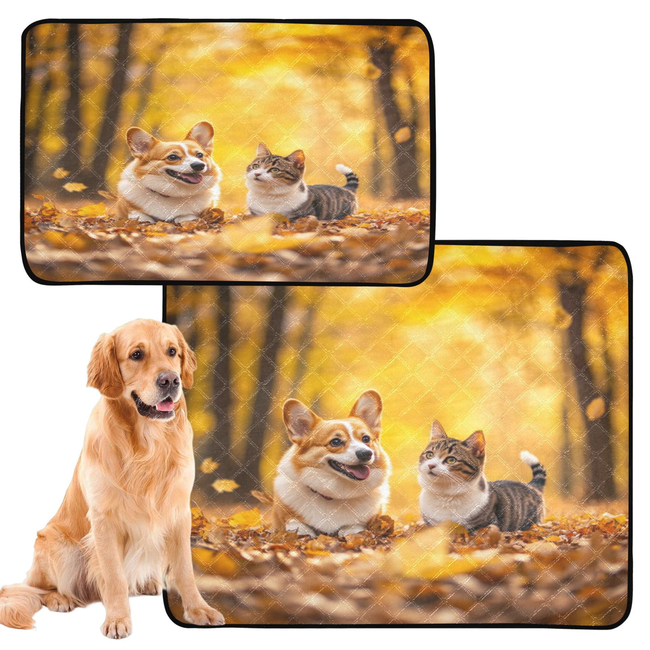 Washable Pet Pee Pads with Super Absorbent Reusable Training Pads for ...