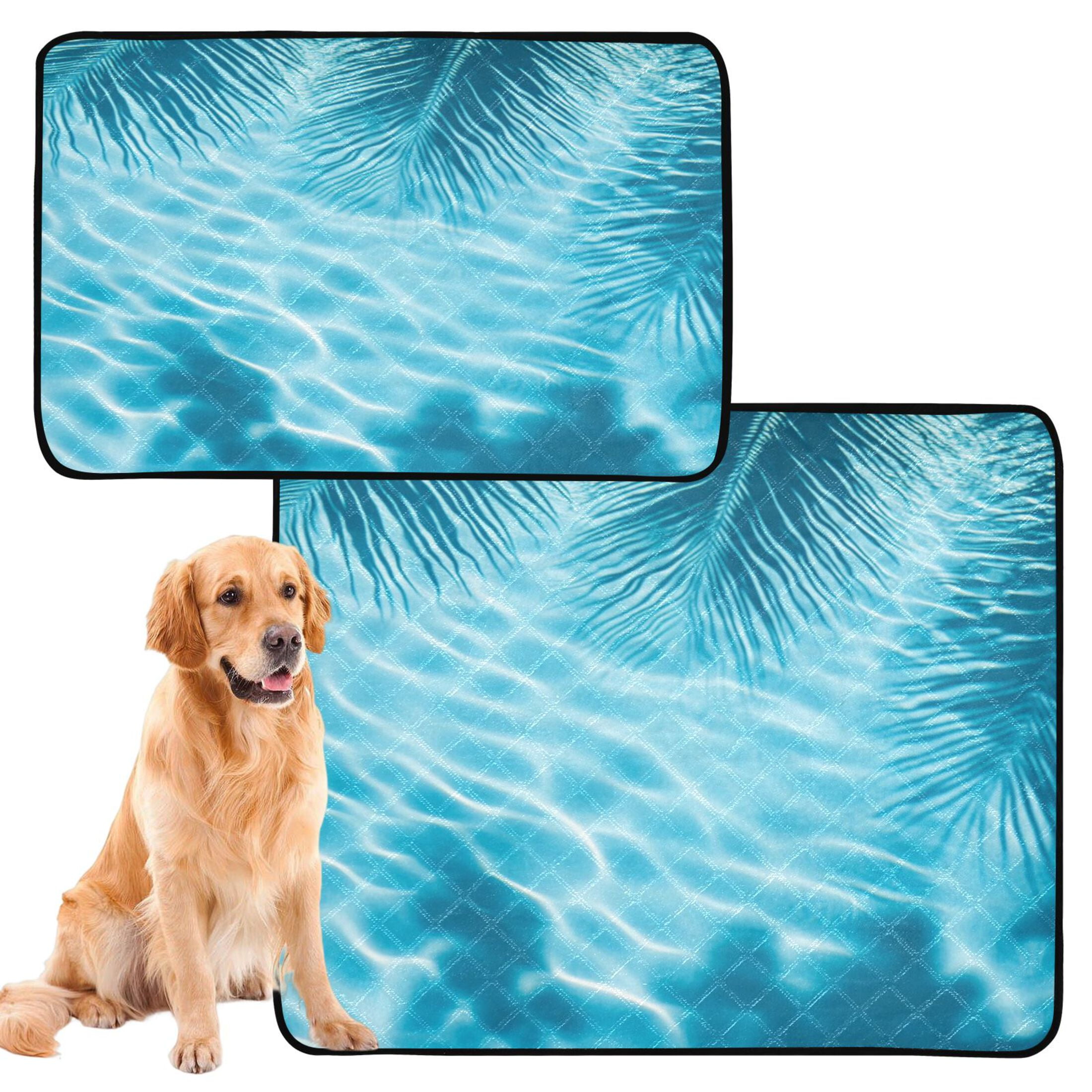 Washable Pet Pee Pads with Super Absorbent Reusable Training Pads for Dogs & Cats Light Blue ...