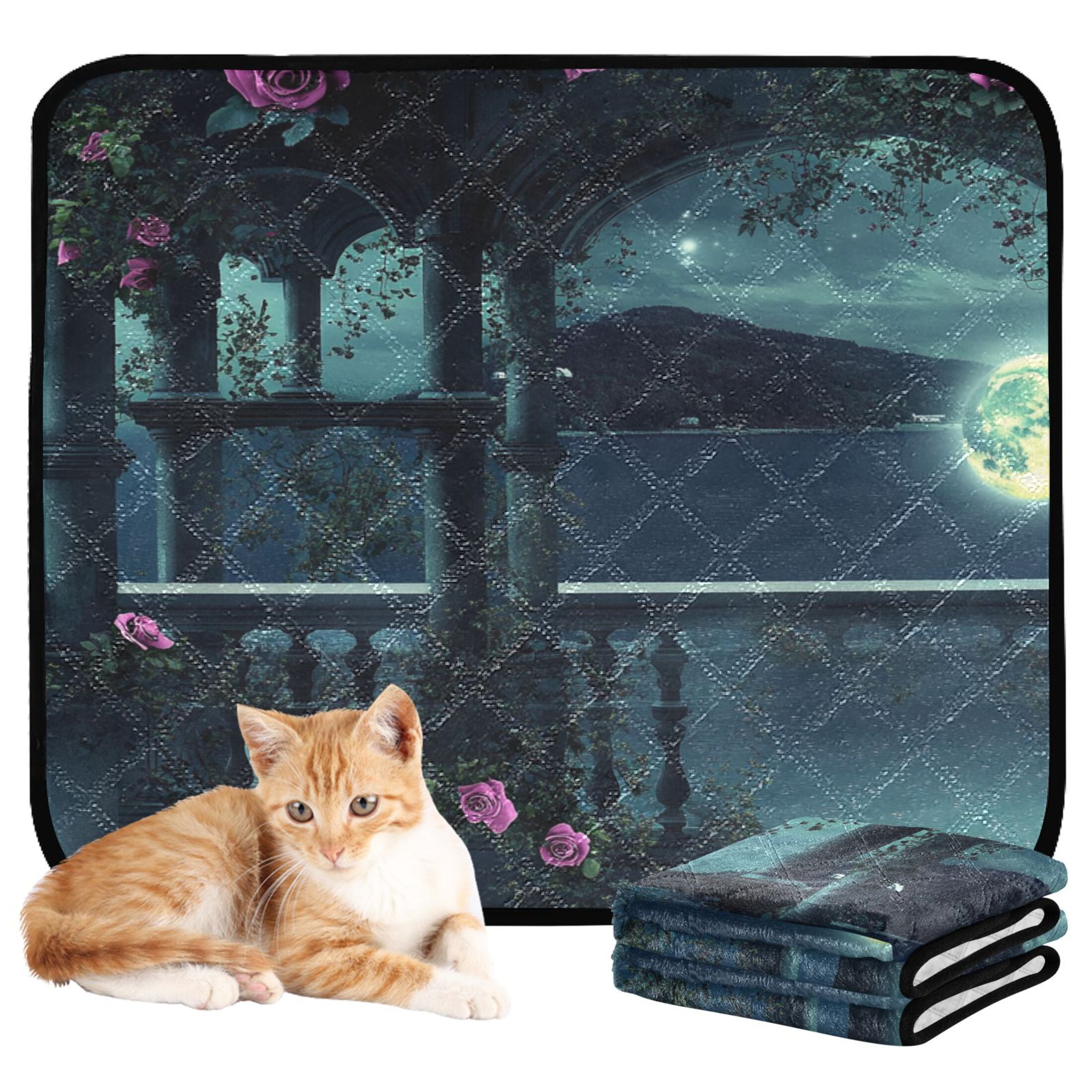 Washable Pet Pee Pads with Super Absorbent Reusable Training Pads for Dogs & Cats Moonlight and ...