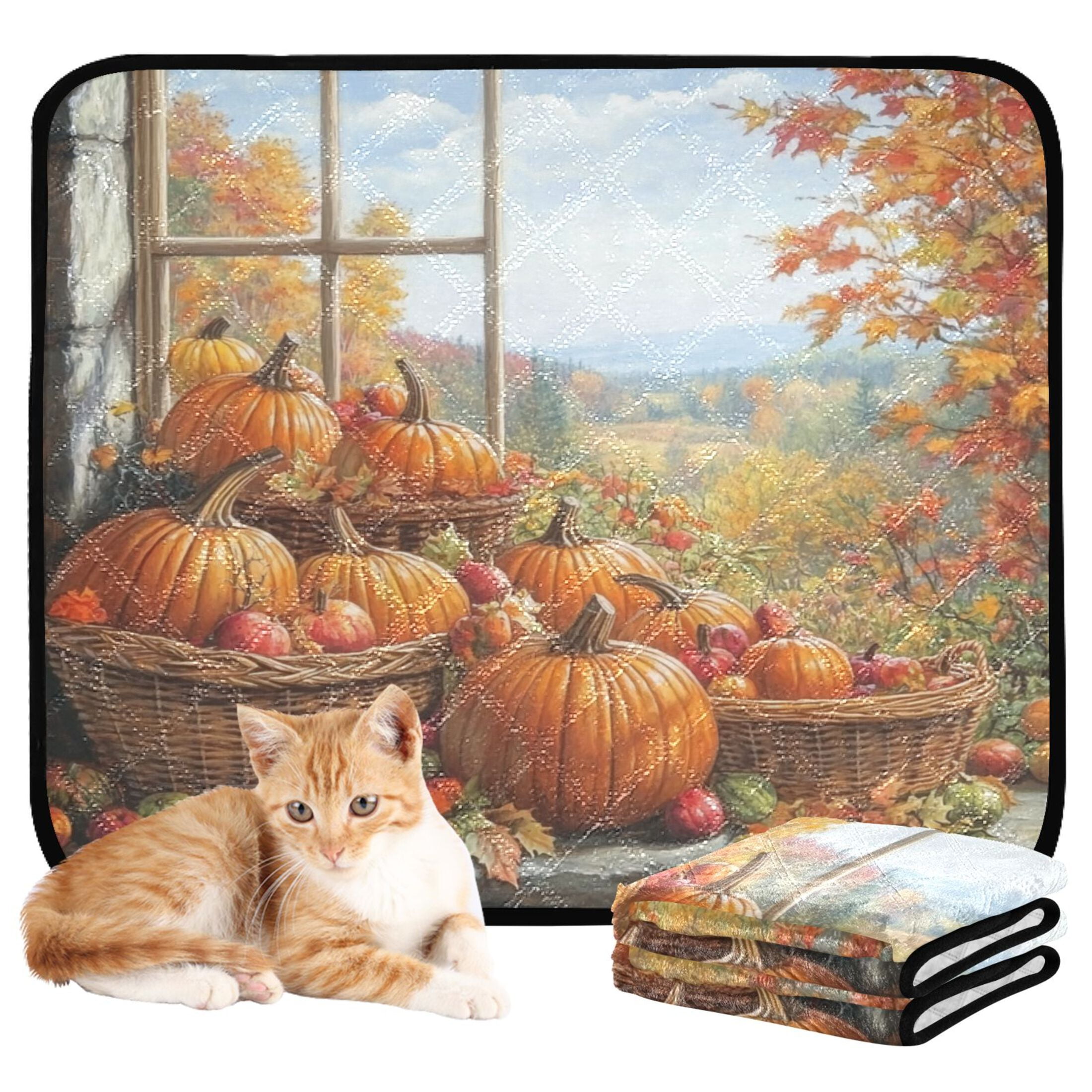 Washable Pet Pee Pads with Super Absorbent Reusable Training Pads for Dogs & Cats Pumpkins and ...