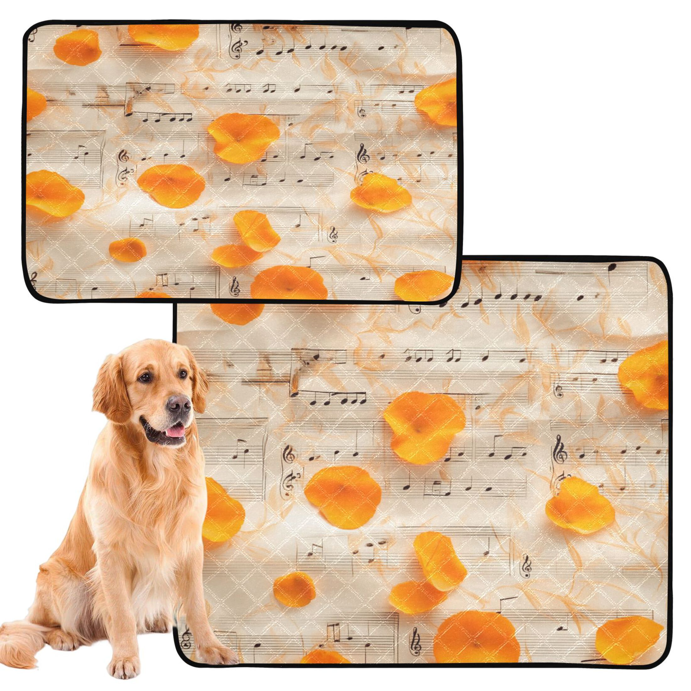 Washable Pet Pee Pads with Super Absorbent Reusable Training Pads for ...