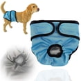 Washable Reusable Female Dog Diapers – Soft Period Panties for Dogs in ...