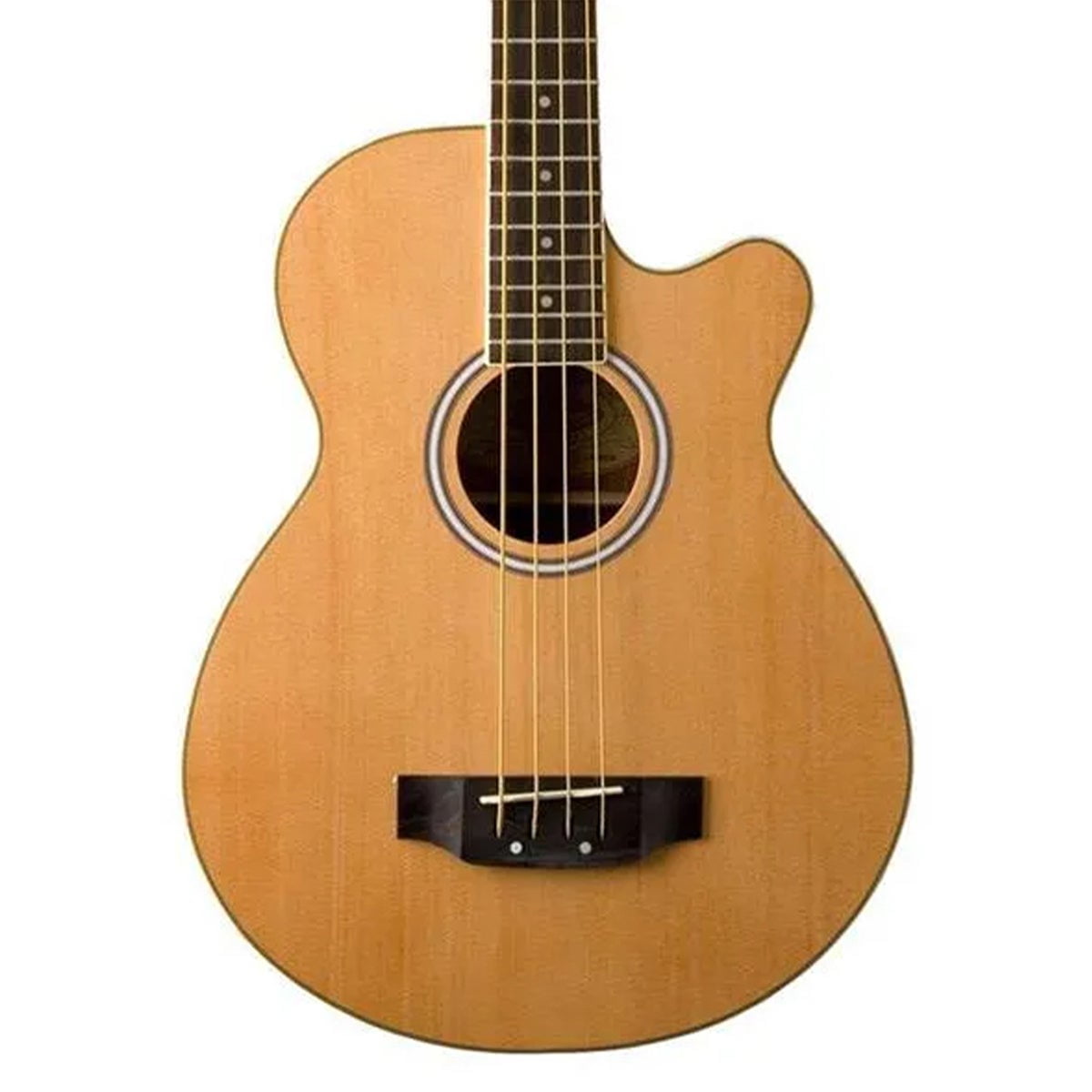 Free Shipping! Washburn 4 String Cutaway Acoustic Electric Bass Guitar ...