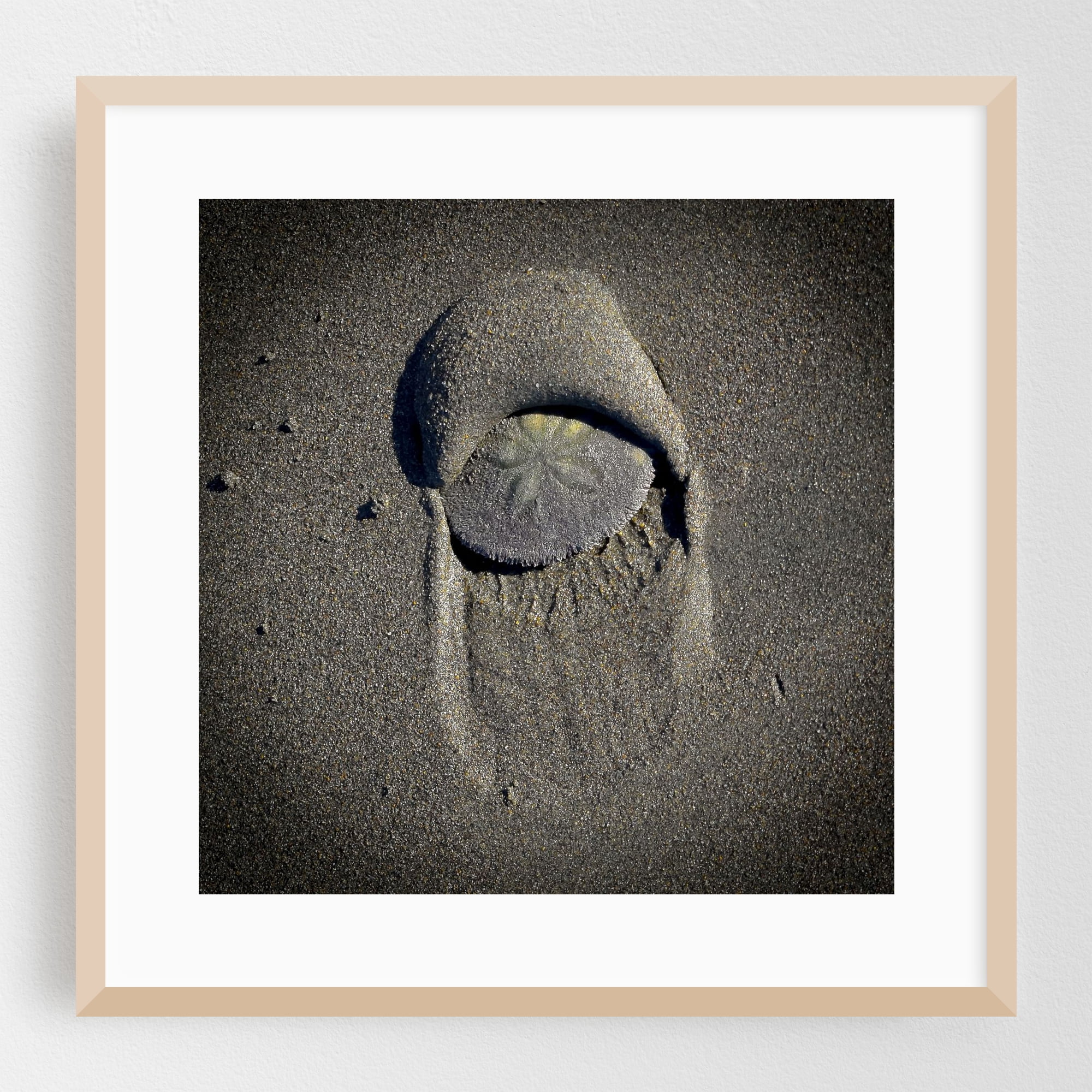 Washington Hidden Treasure - Ocean Shores Washington Photography Beach ...