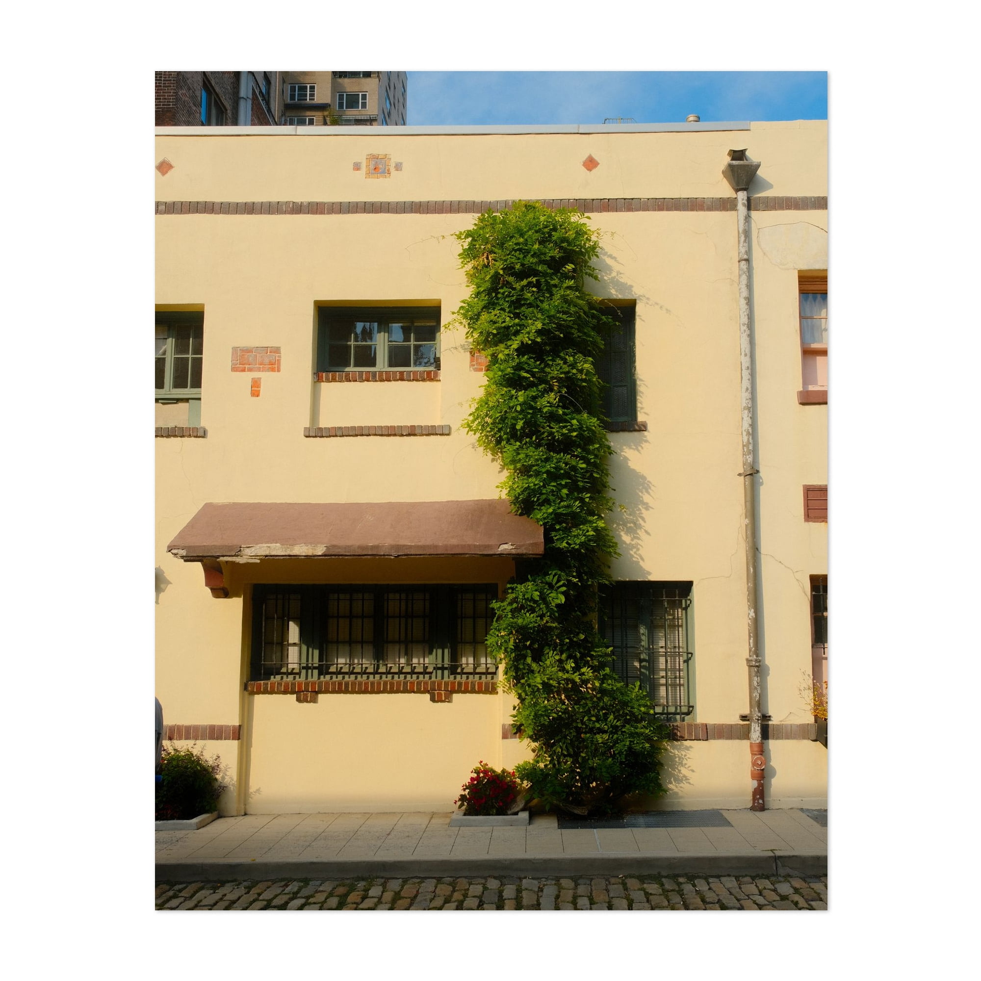 Washington Mews 03 - Manhattan New York Photography Architecture ...