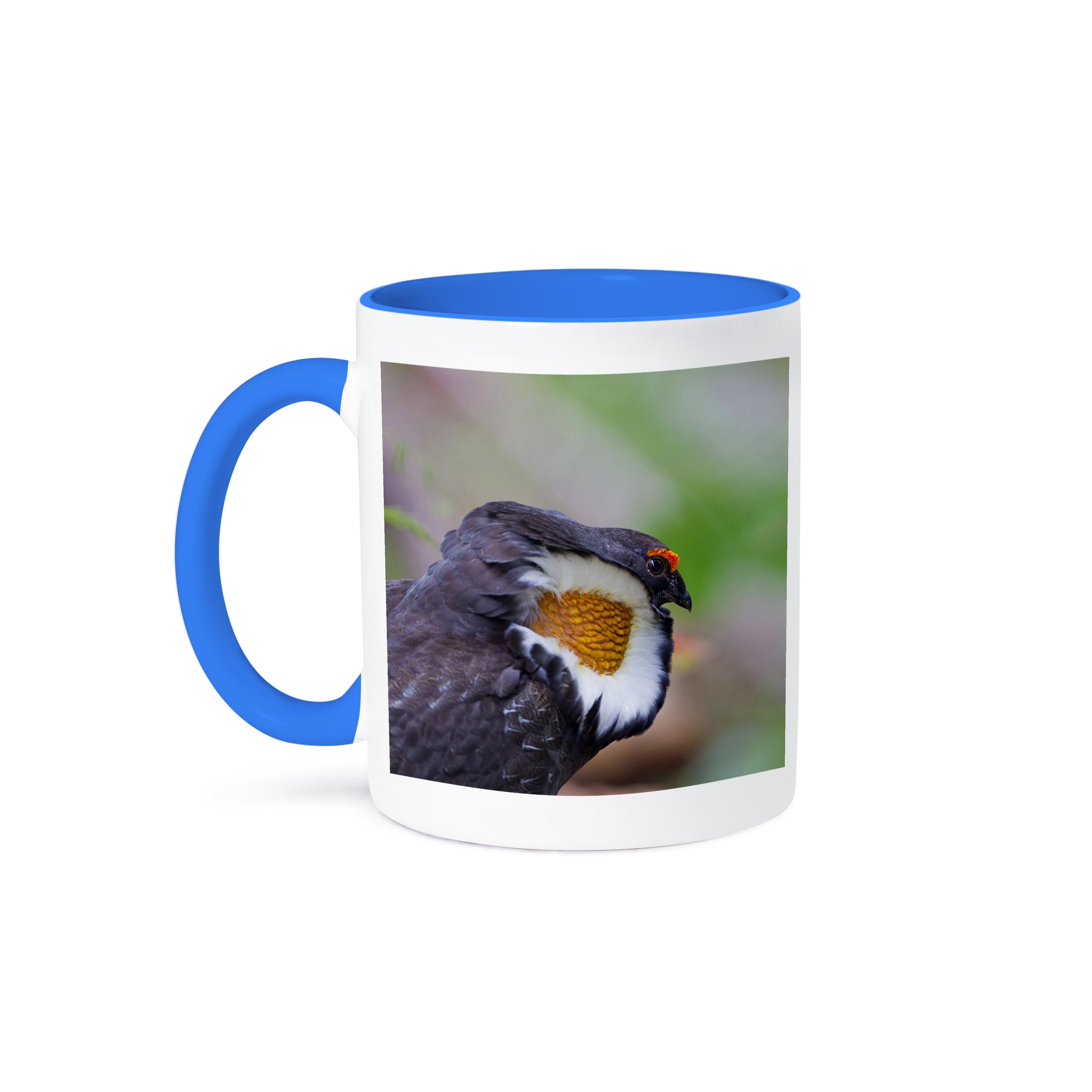 Washington, Olympic Np, Sooty Grouse Bird - Us48 Glu0247 - Gary Luhm ...