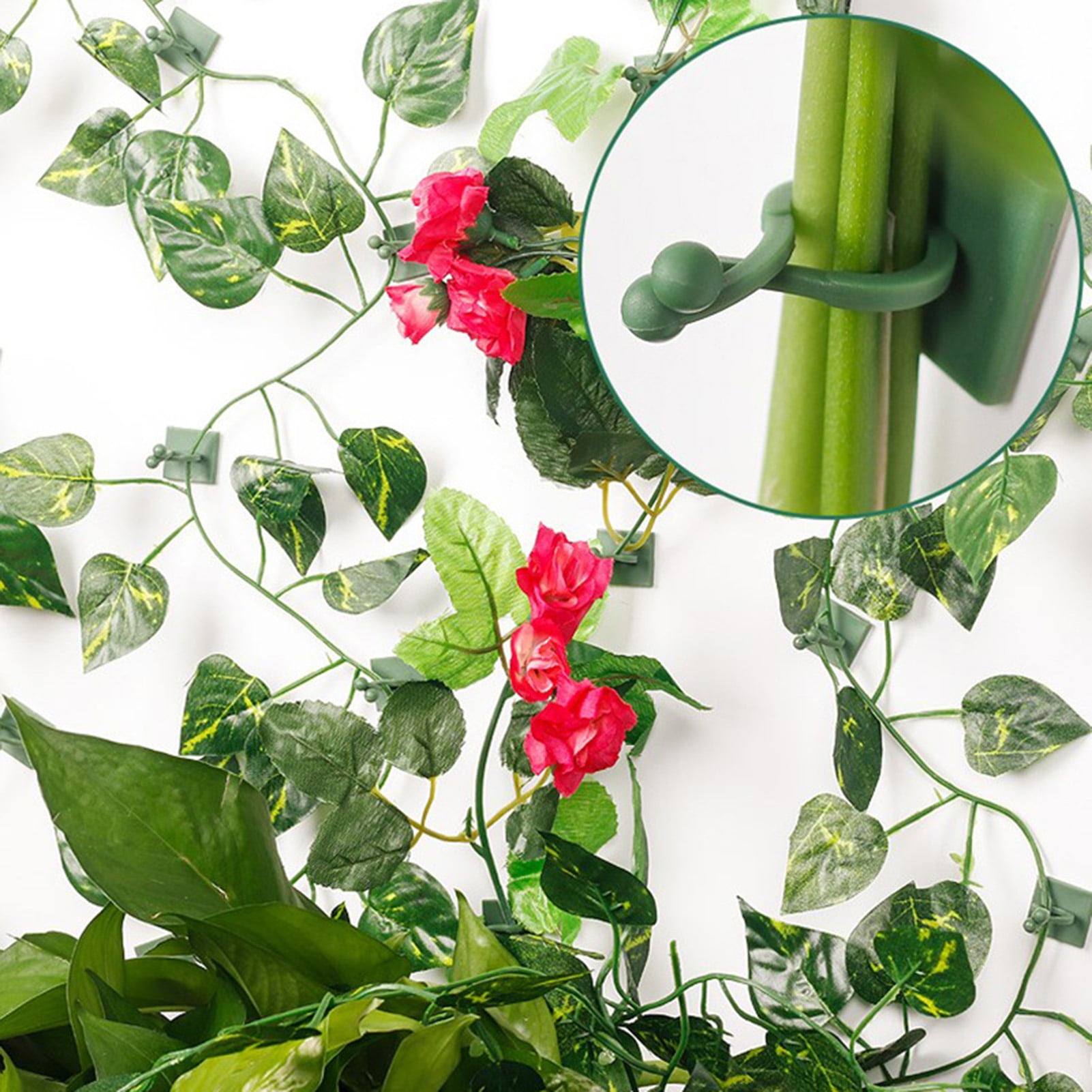 Washranp 10Pcs Wall Plants Climber Vine Sticky Wall Clips,Saving Space ...
