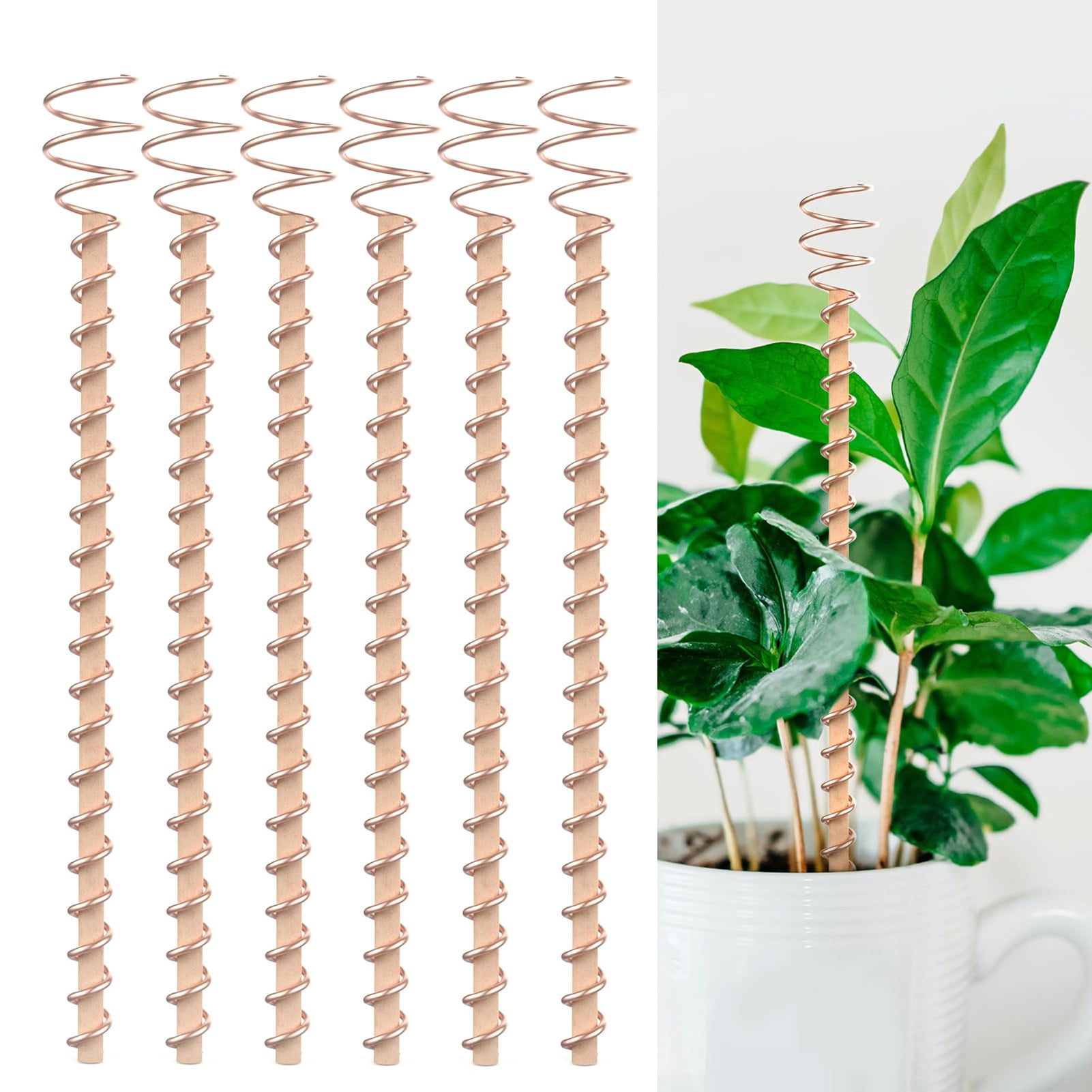Washranp 6Pcs Electroculture Plant Stakes,12inch Plants Vegetables ...