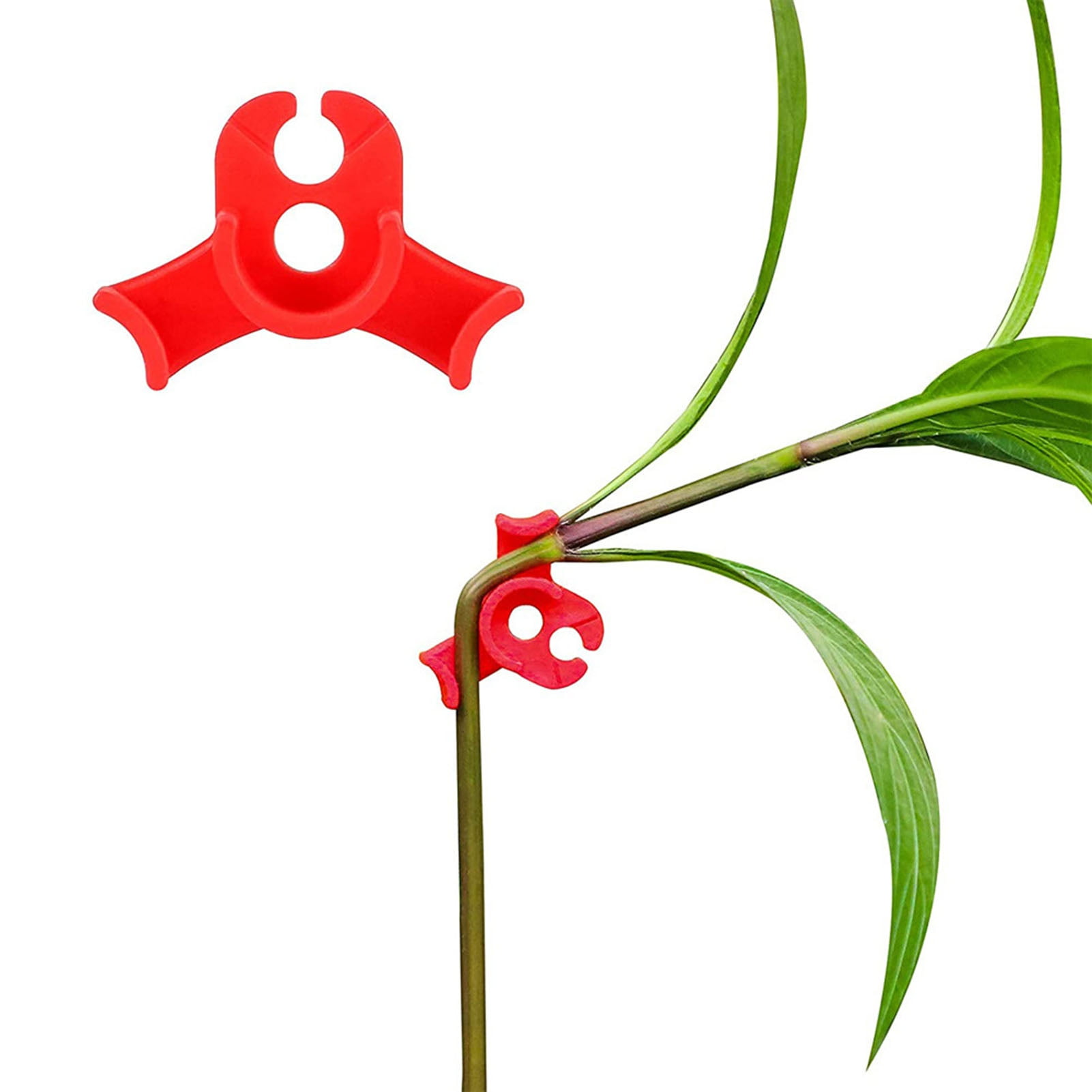 Washranp 70Pcs Adjustable Plant Stem Training Clips,Plastic Plant ...