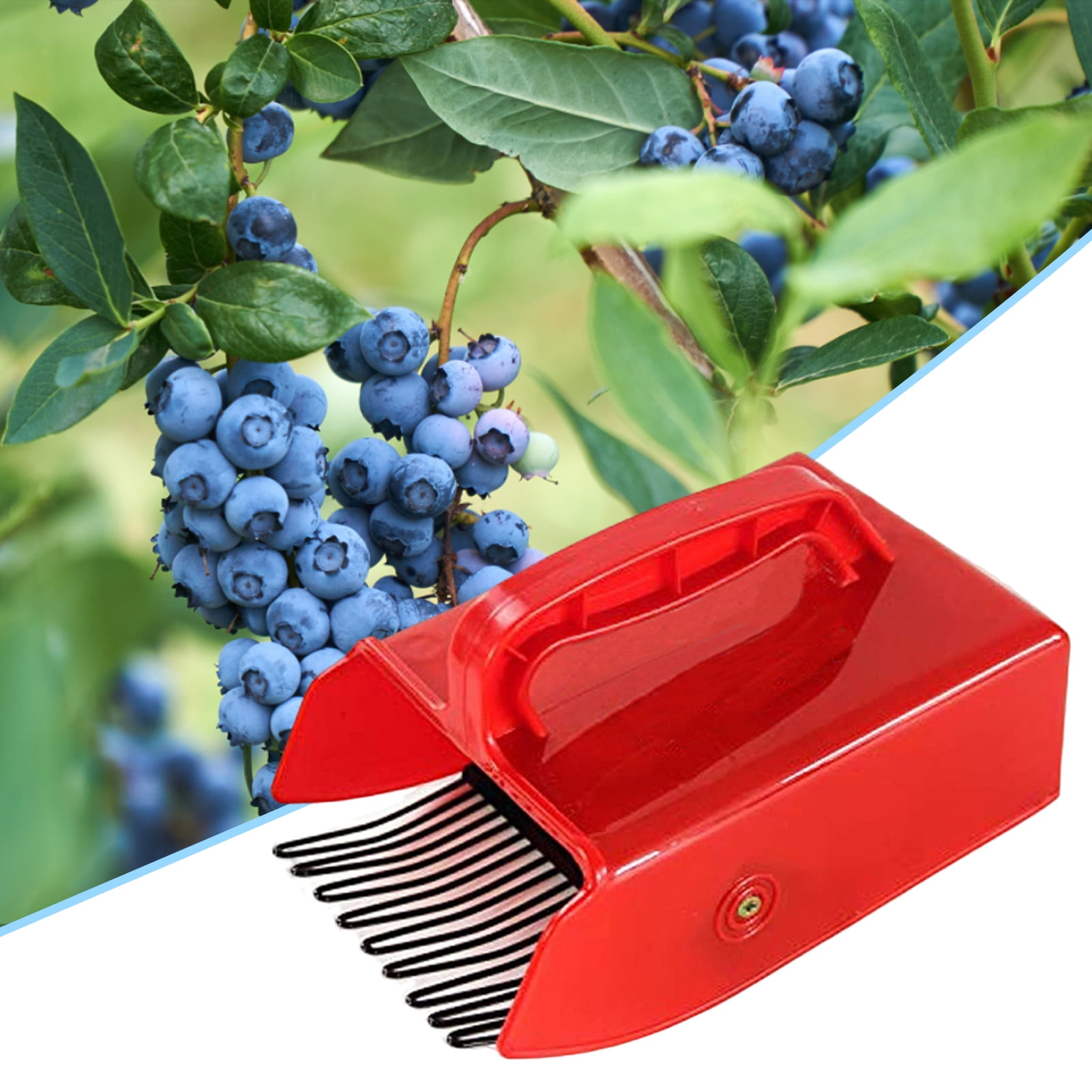Washranp Berry Picker,Metallic Comb and Ergonomic Handle Easier Berry ...