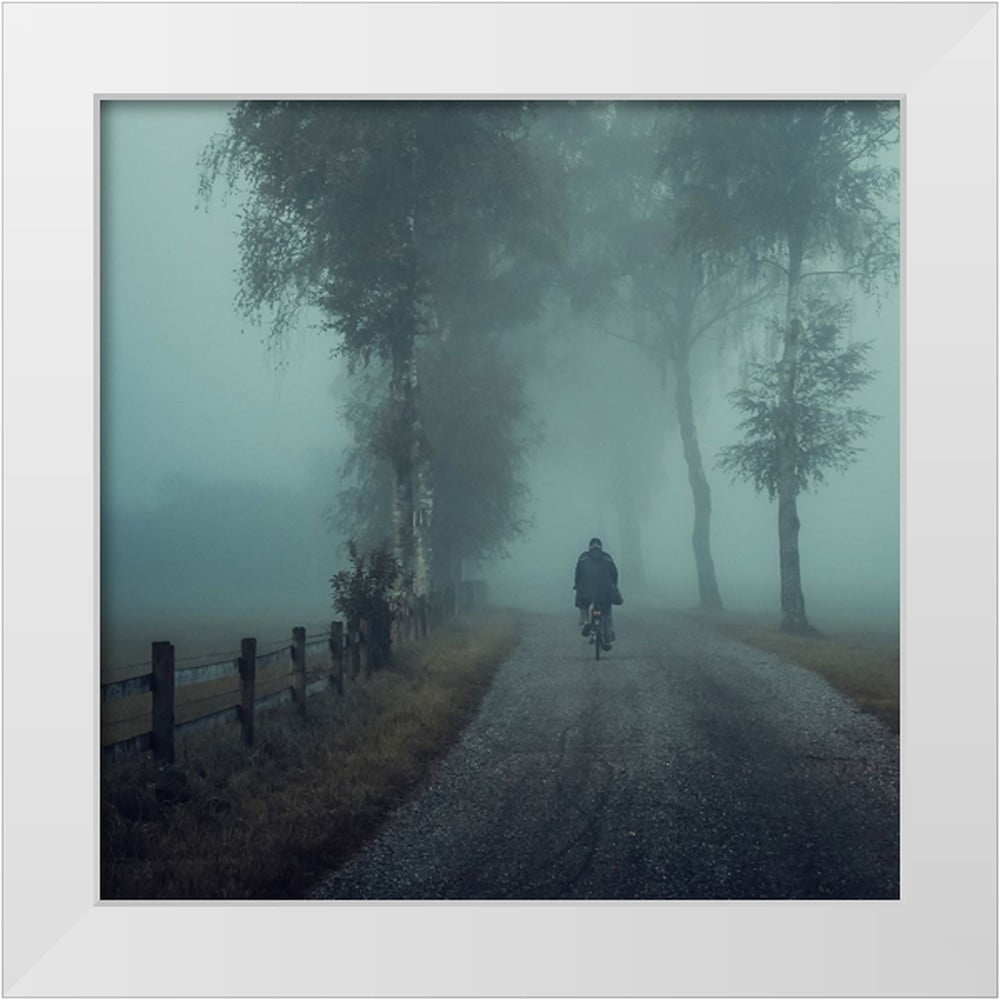 Wasinger, Renate 20x20 White Modern Wood Framed Museum Art Print Titled ...