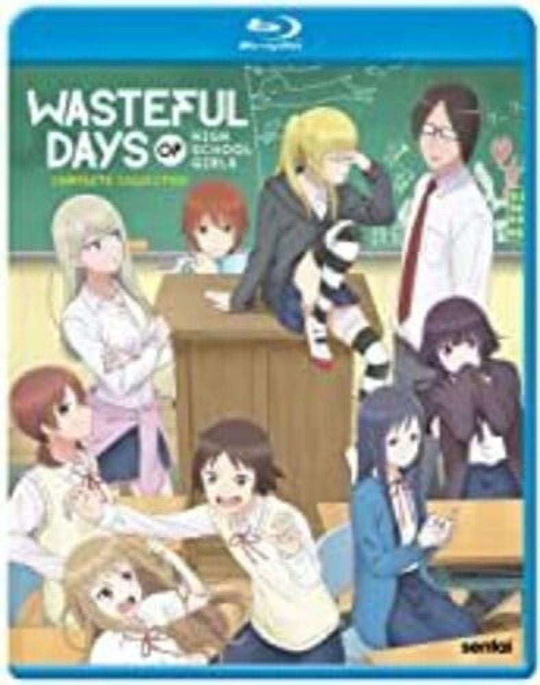 Wasteful Days Of High School Girls (Blu-ray), Sentai, Anime - Walmart.com