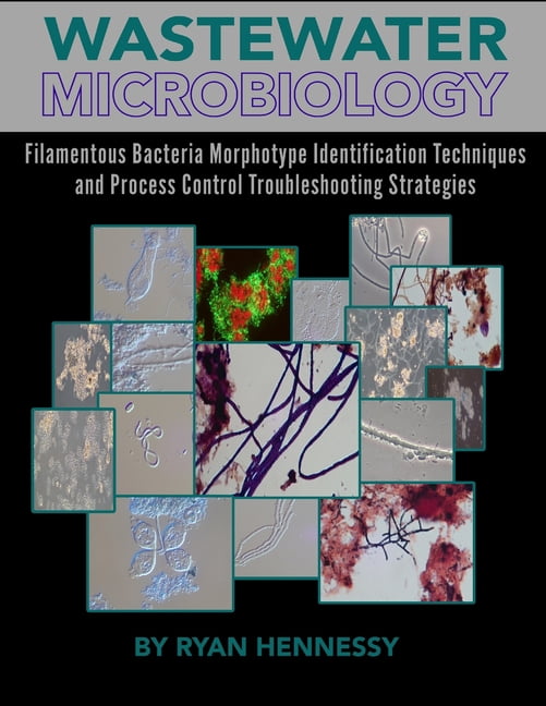 Wastewater Microbiology, Filamentous Bacteria Morphotype Identification ...