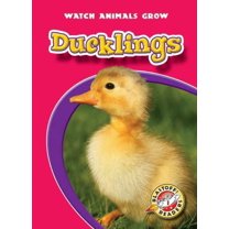 Quack and Count (Board Book) - Walmart.com