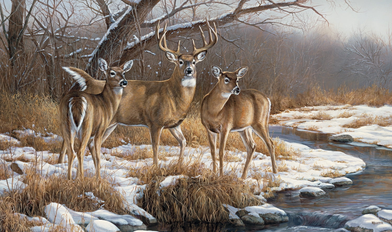Watchful Trio Whitetail Deer Wall Graphic - Walmart.com