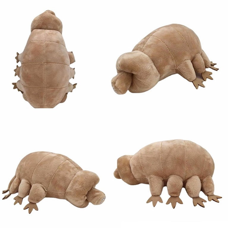 Water Bear Size