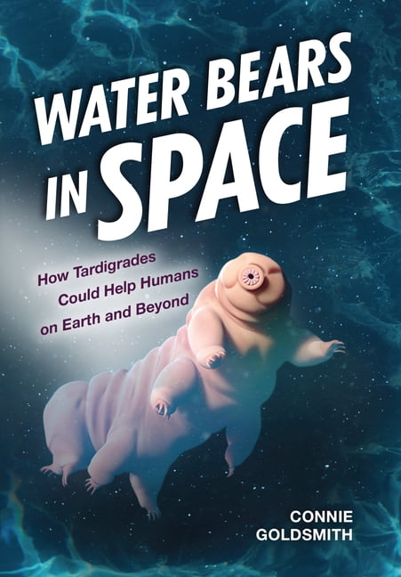 Water Bears In Space How Tardigrades Could Help Humans On Earth And