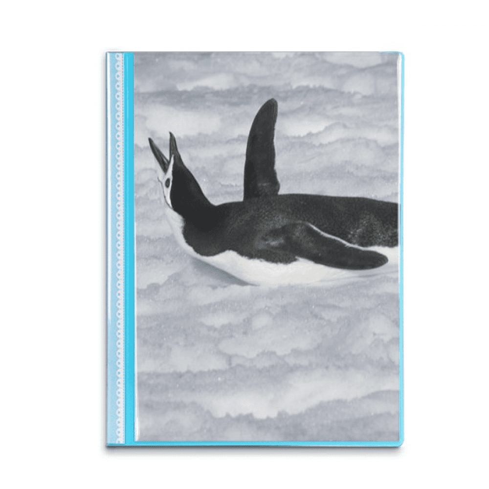 Water Black Antarctic Penguin Picture Book Sheet Protectors Portfolio ...