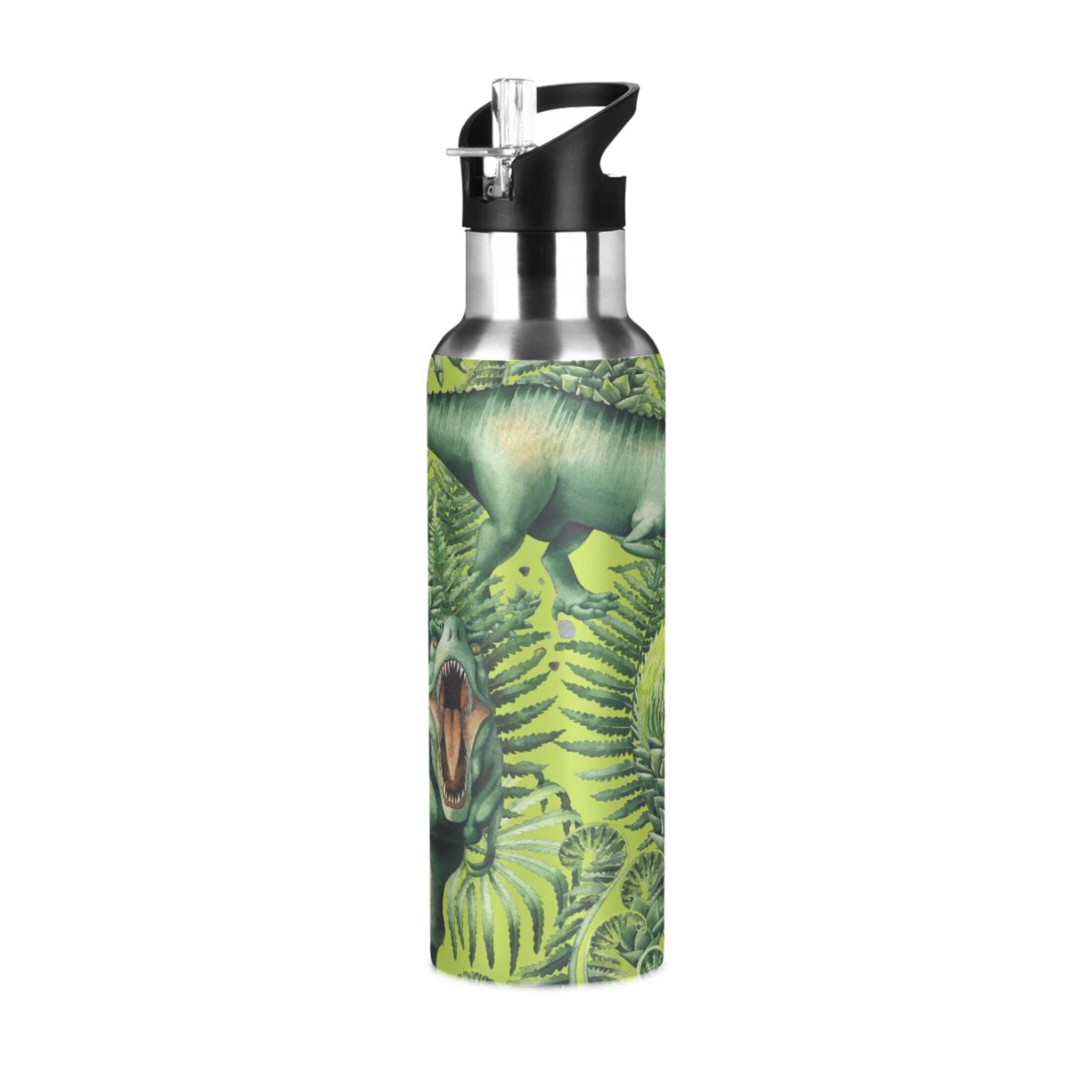 Water Bottle with Straw Lid Leak Rex Dinosaurs Jurassic Age Stainless ...