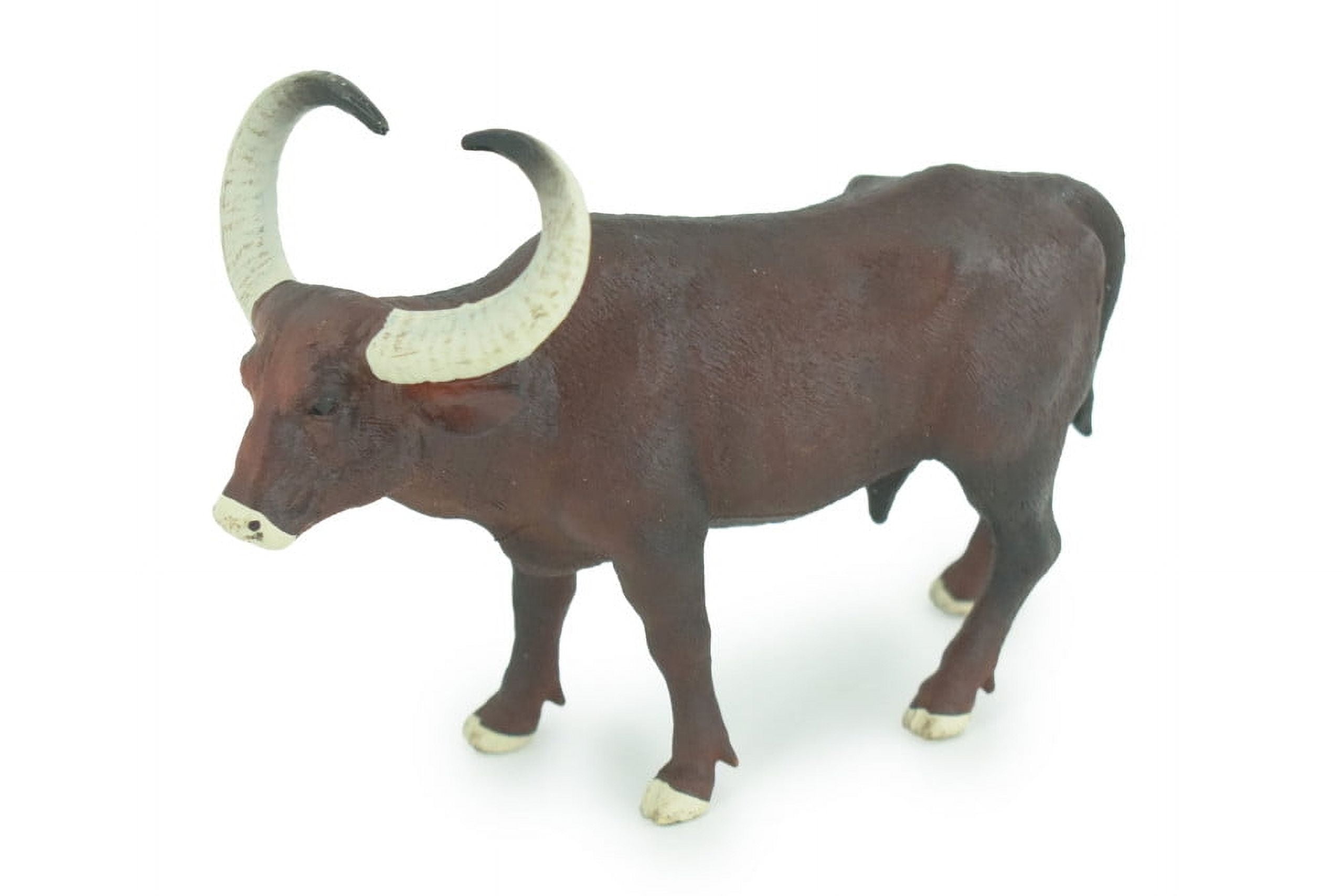 Water Buffalo, Brown, Museum Quality, Hand Painted, Educational, High ...