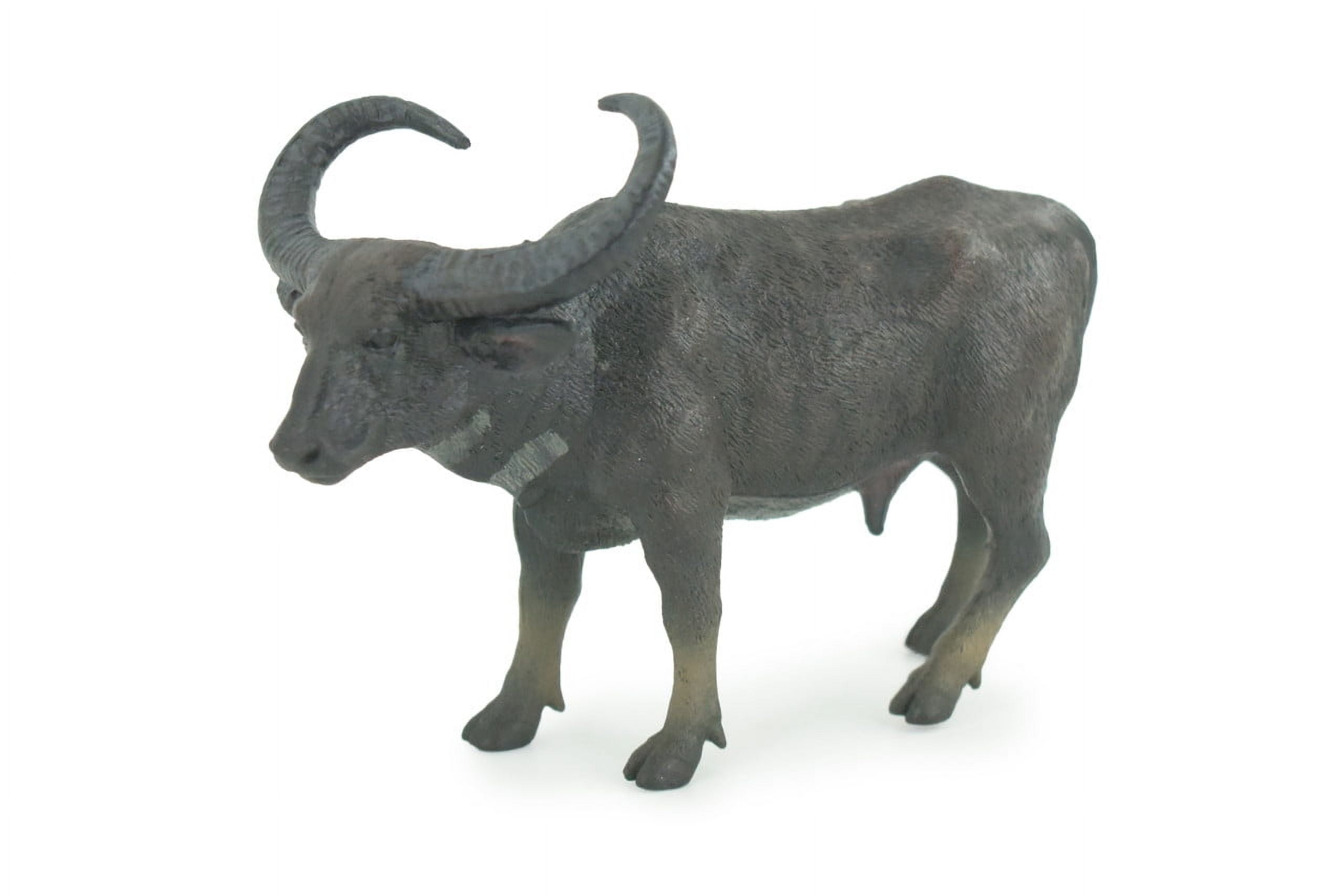 Water Buffalo, Brown, Museum Quality, Hand Painted, Educational, High ...