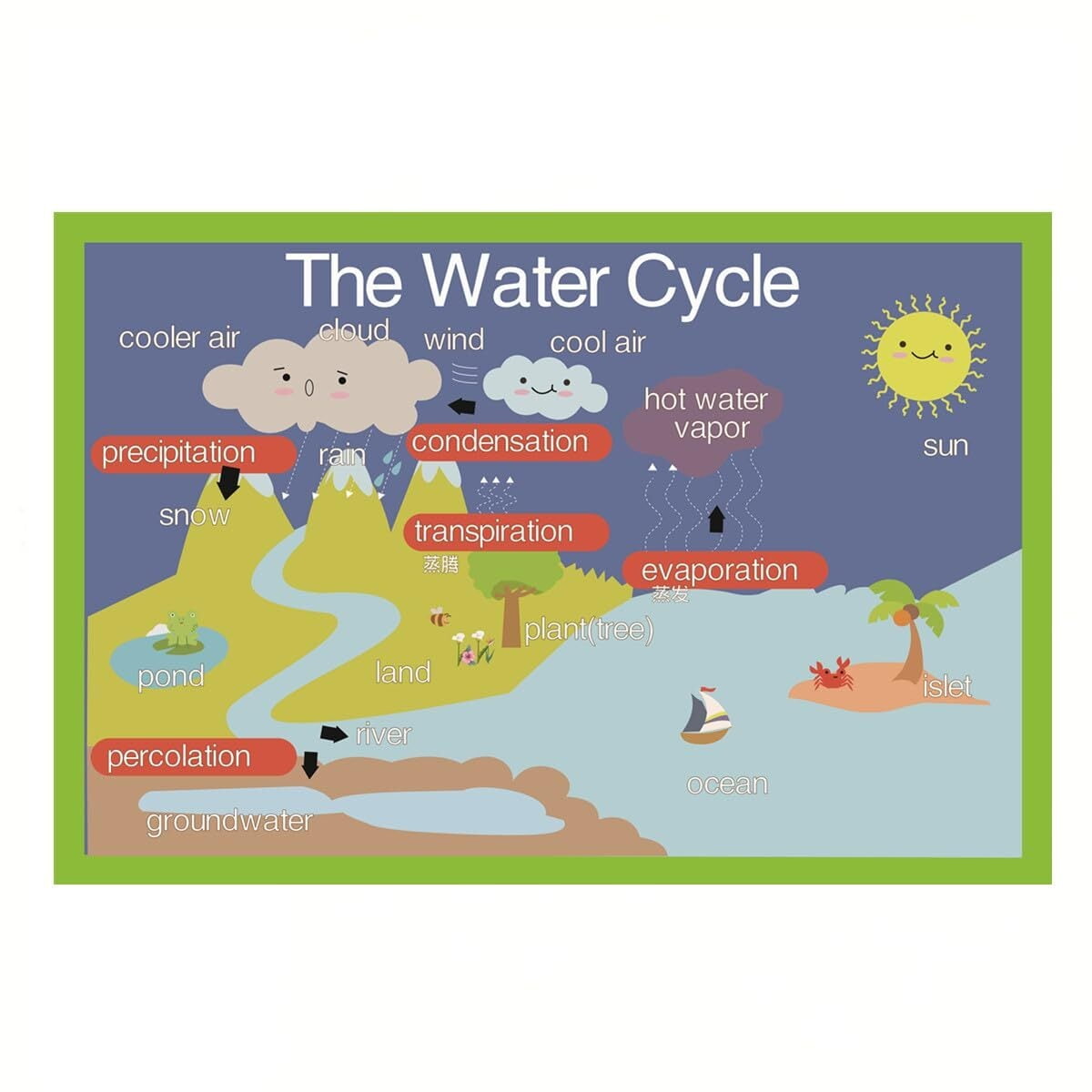 The Water Cycle Mind Mapping| Educational Posters for Toddlers and Kids ...