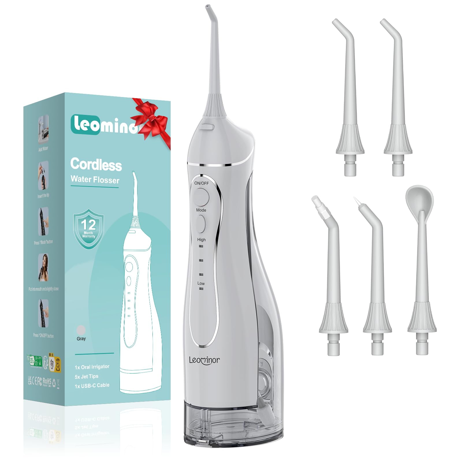 Water Dental Flosser Pick DHF10 for Teeth,300ML Portable Oral Upgraded ...