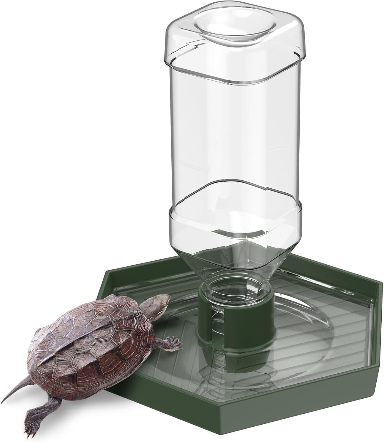 Water Dispenser, Tortoise Water Dish, Snake Bearded Dragon Water Bowl ...