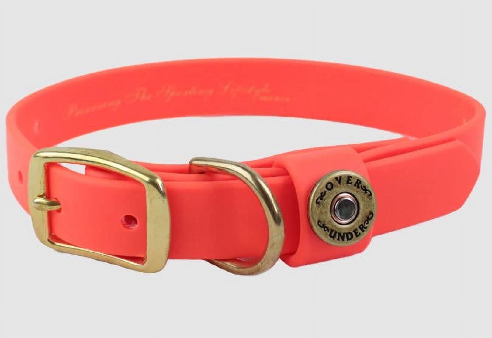 Water Dog Collar - Walmart.com