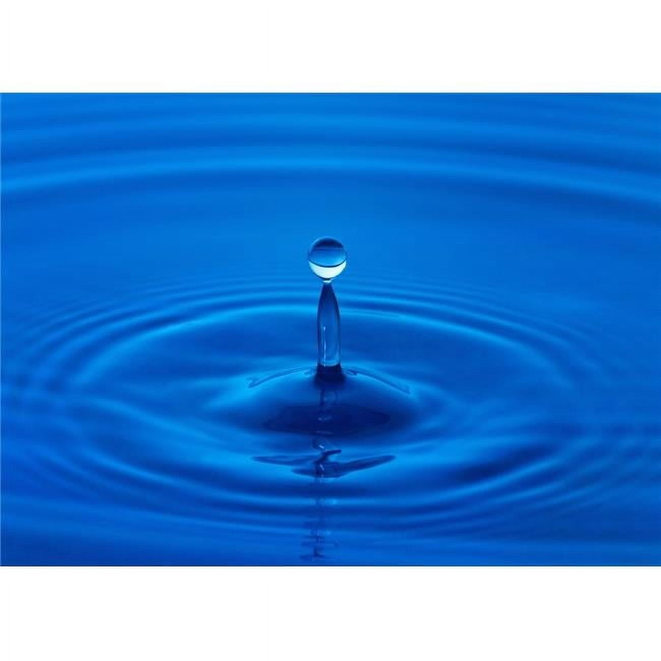 Water Droplet Poster Print - 18 x 12 - Walmart.com