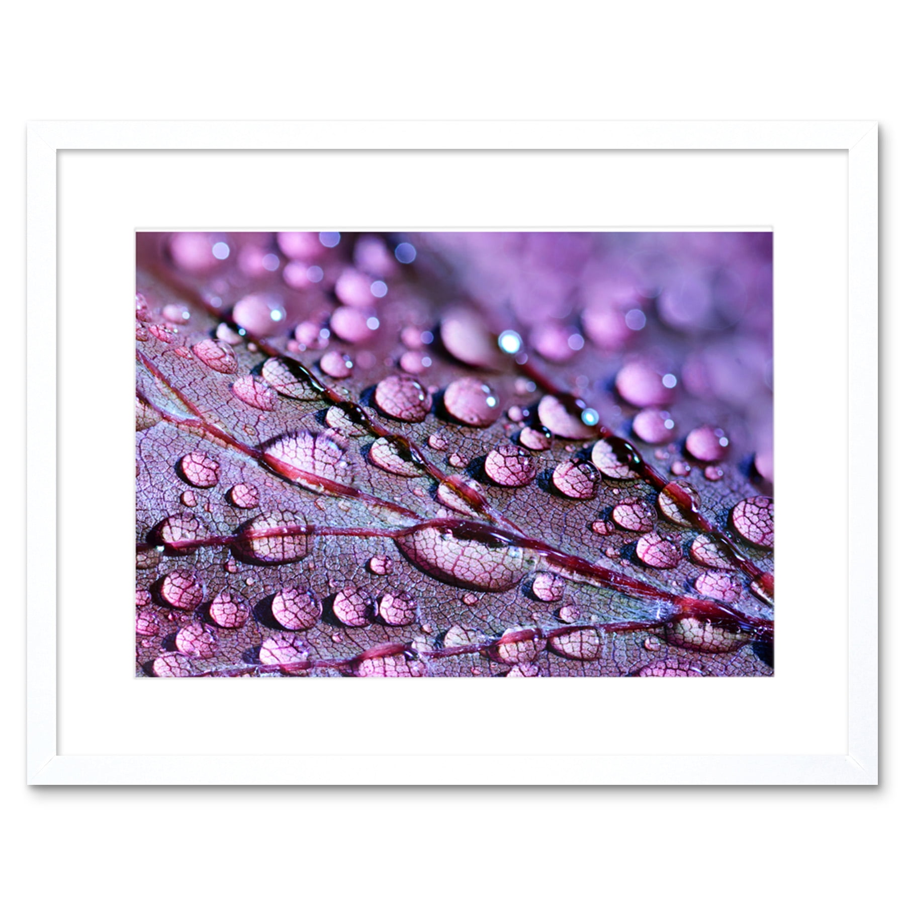 Water Droplets Leaf Macro Framed Wall Art Print - Walmart.com