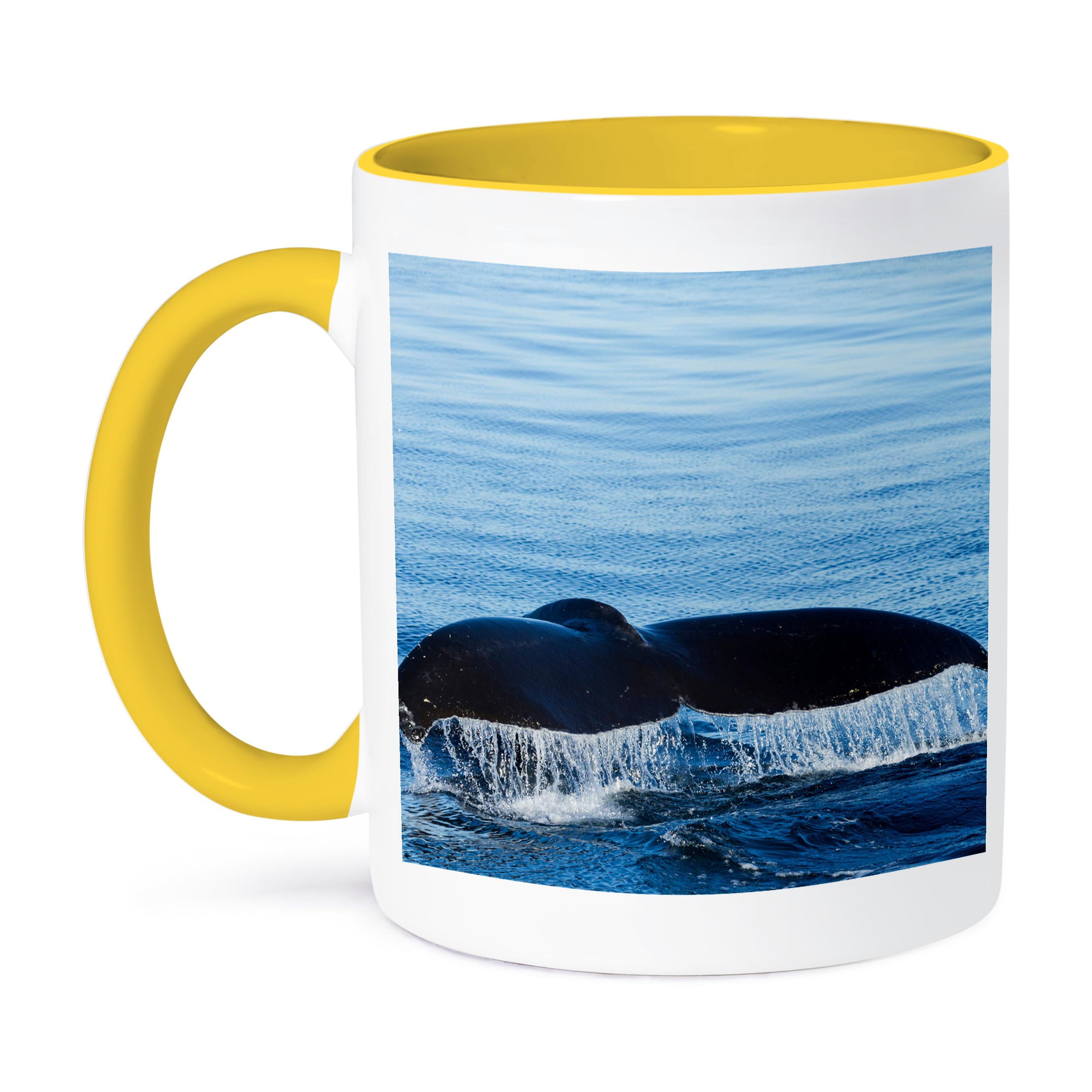 3dRose, Water flows off a humpback whales tail as it dives, B.C ...