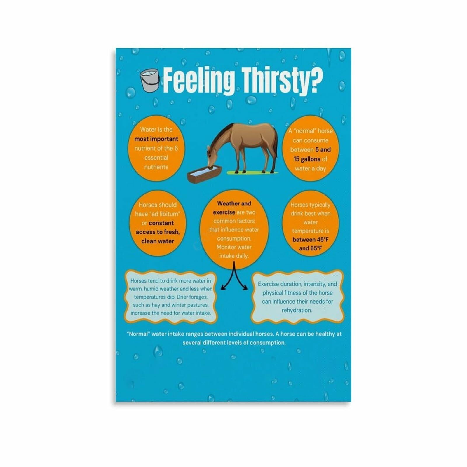 Water Intake For Ehorses In Winter Knowledge Poster (1) Canvas Painting ...