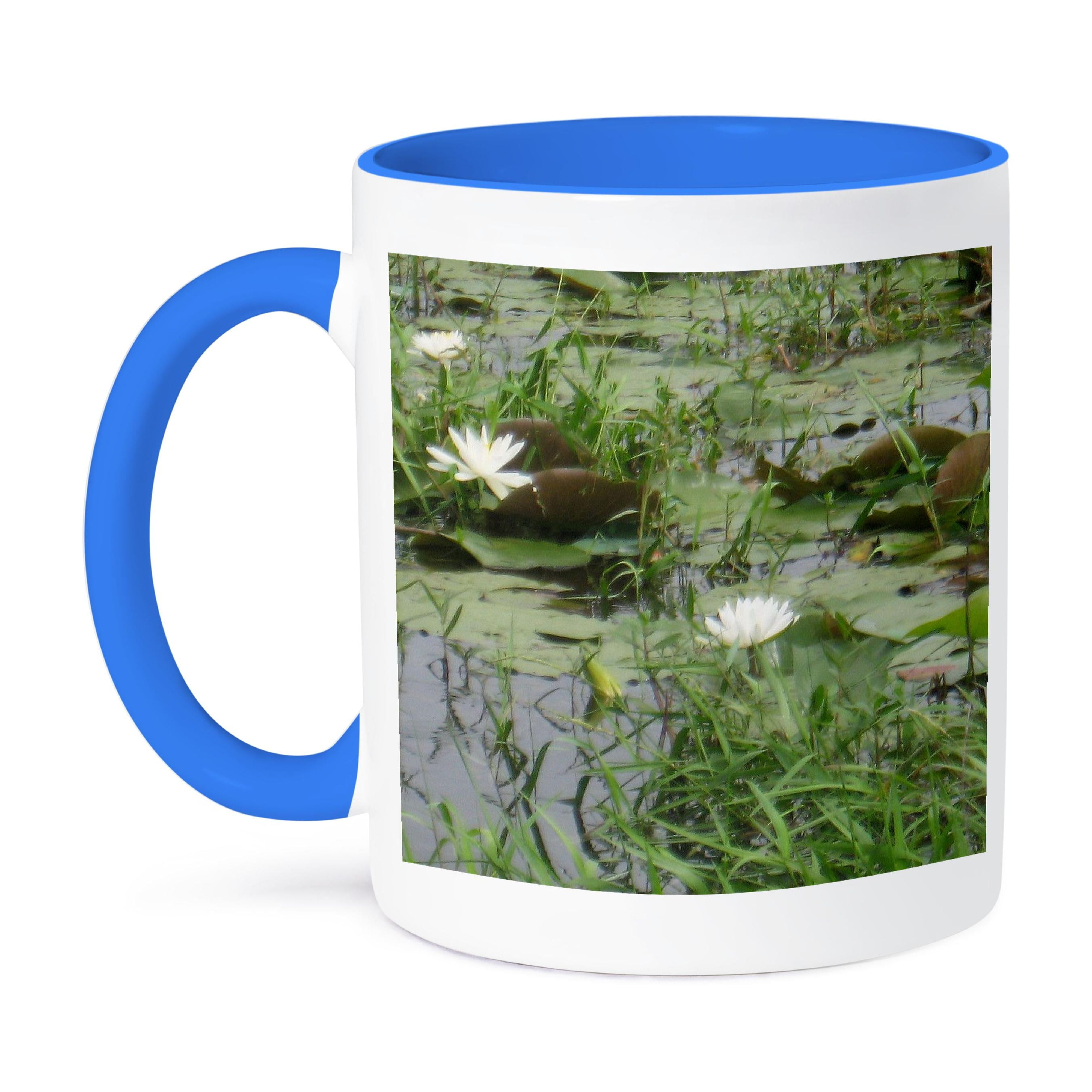 3dRose, Water Lily and Lily Pads on Lake Jackson Tallahasse Florida ...