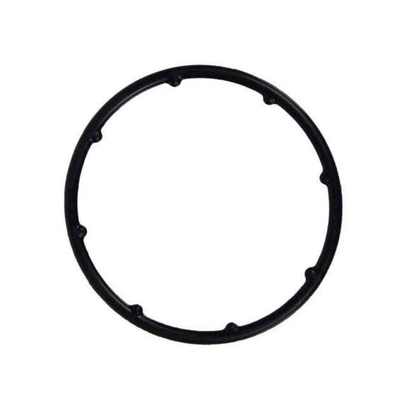 1996 Toyota Tacoma Water Pump Gasket