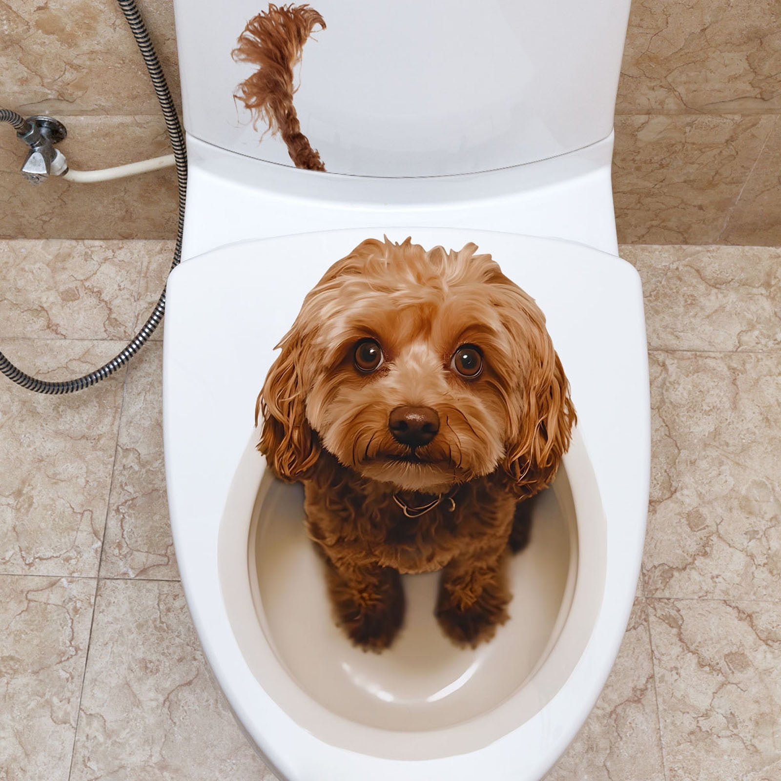 Water Proof Adorable Teddy Dog Toilet Stickers Self-Adhesive Wall Decor ...