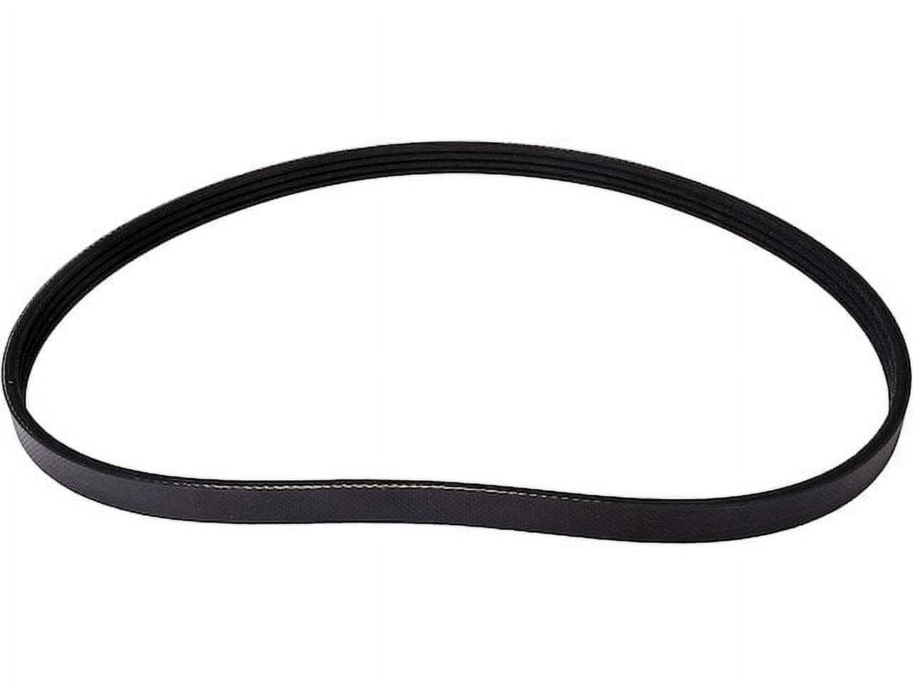 Water Pump Multi Rib Belt - Compatible with 2009 - 2019 Maserati ...