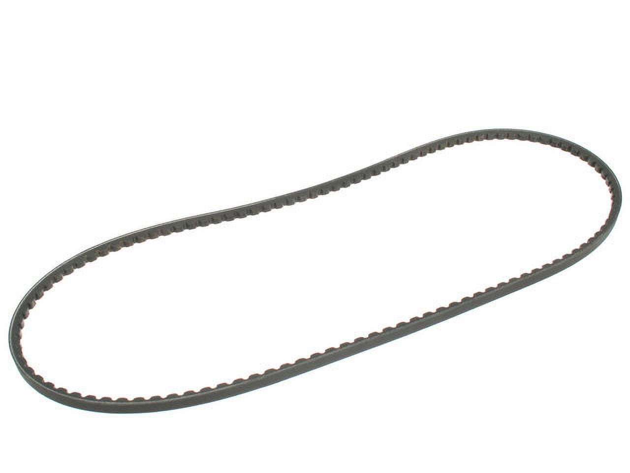 Water Pump and Power Steering Multi Rib Belt - Compatible with 1976 ...