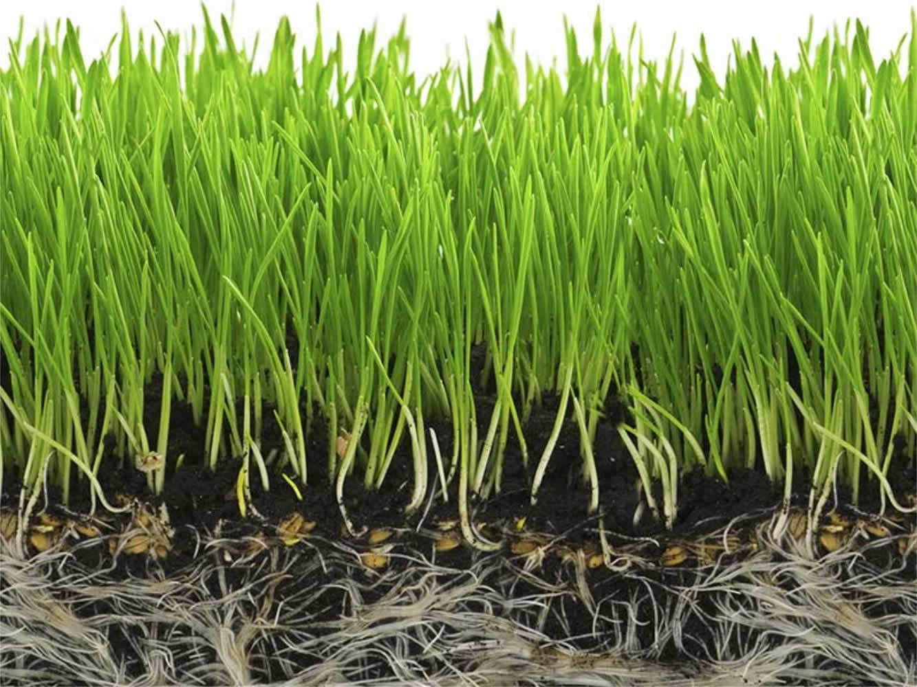 Water Retention Polymer for Grass and Gardens 45 Pounds - Walmart.com