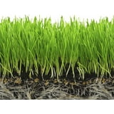 Water Retention Polymer for Grass and Gardens 45 Pounds - Walmart.com