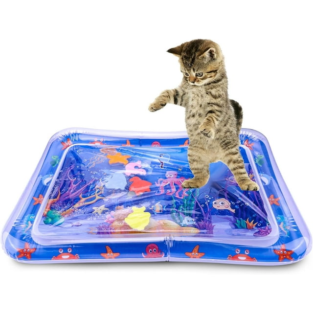 Water Sensory Play Mat for Cats, Cat Water Playmat for Self Play ...