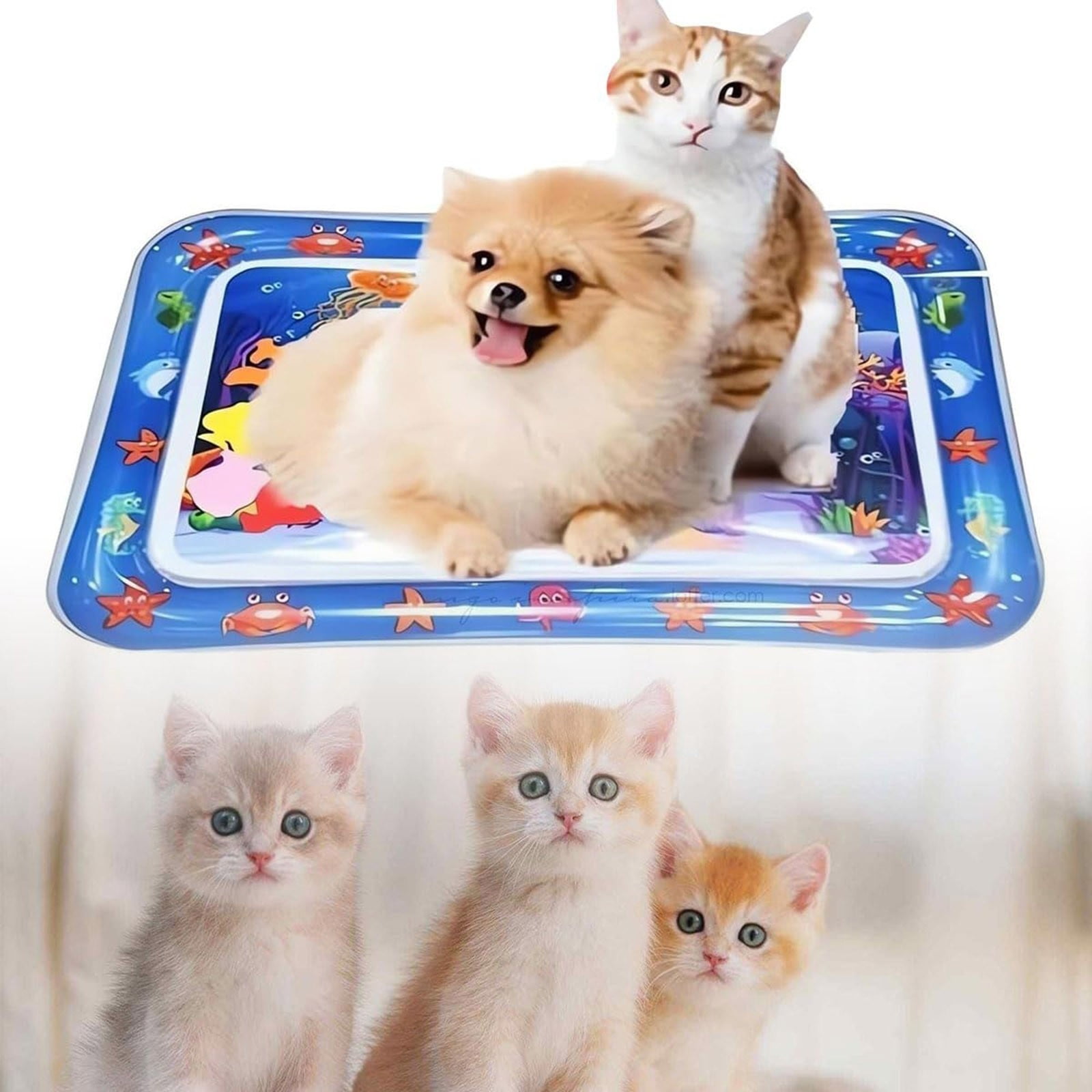 Water Sensory Playmat for Cat,Funny Cat Toys for Bored,Indoor Cats ...