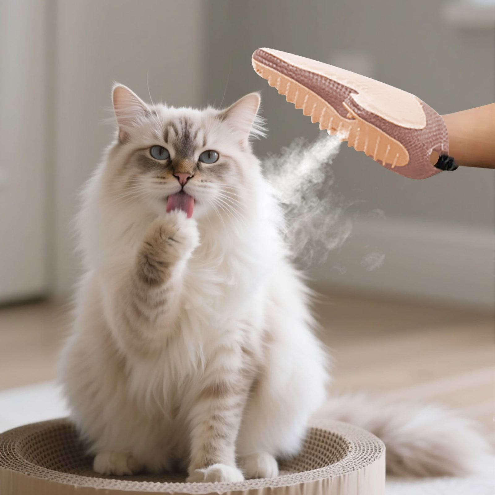 Water Spray Gloves To Remove The Floating Hair While Massage. Special For Long-Haired Cats And ...