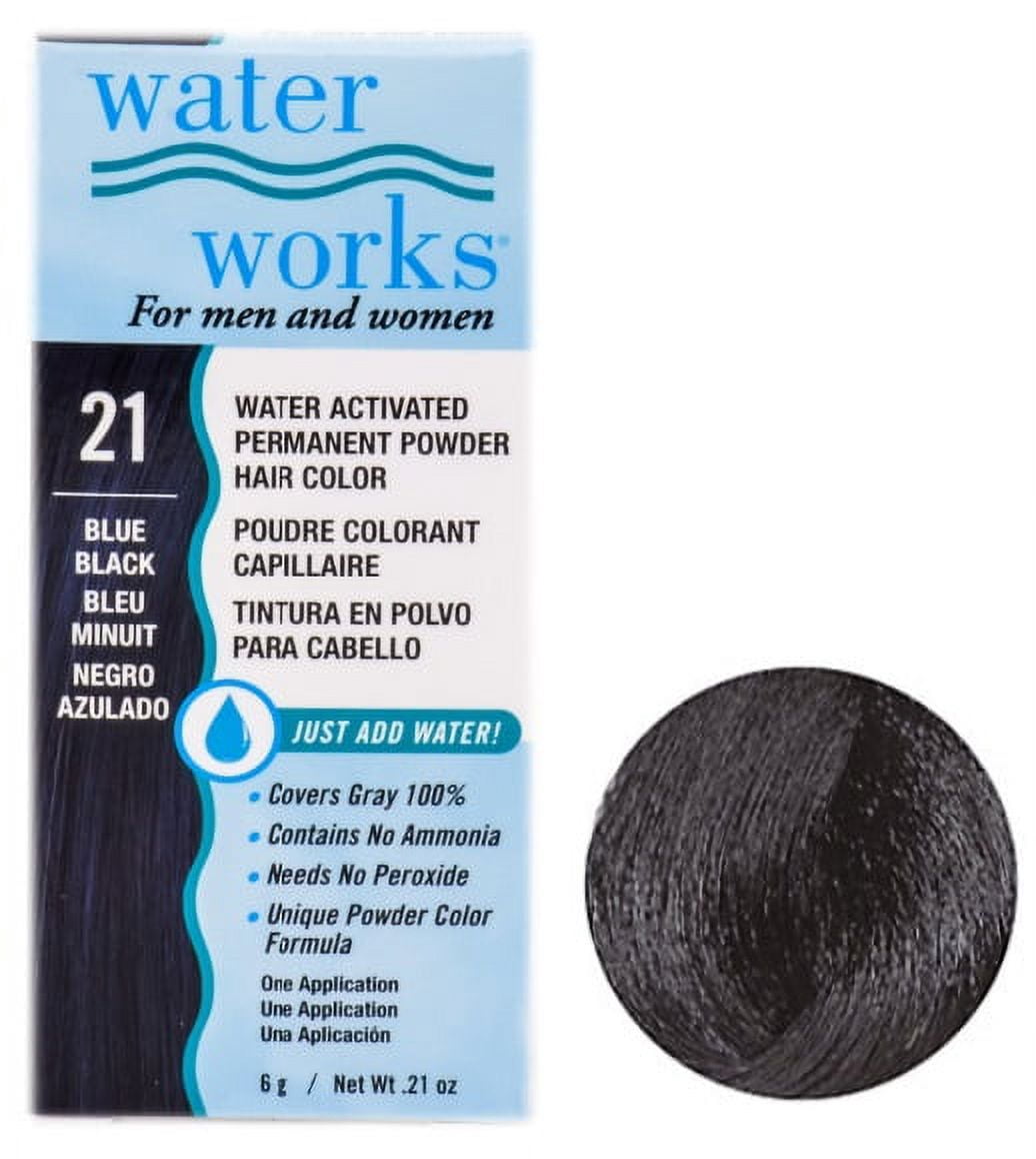 Water Works Permanent Powder Hair Color #21 Blue Black (6 Pack ...