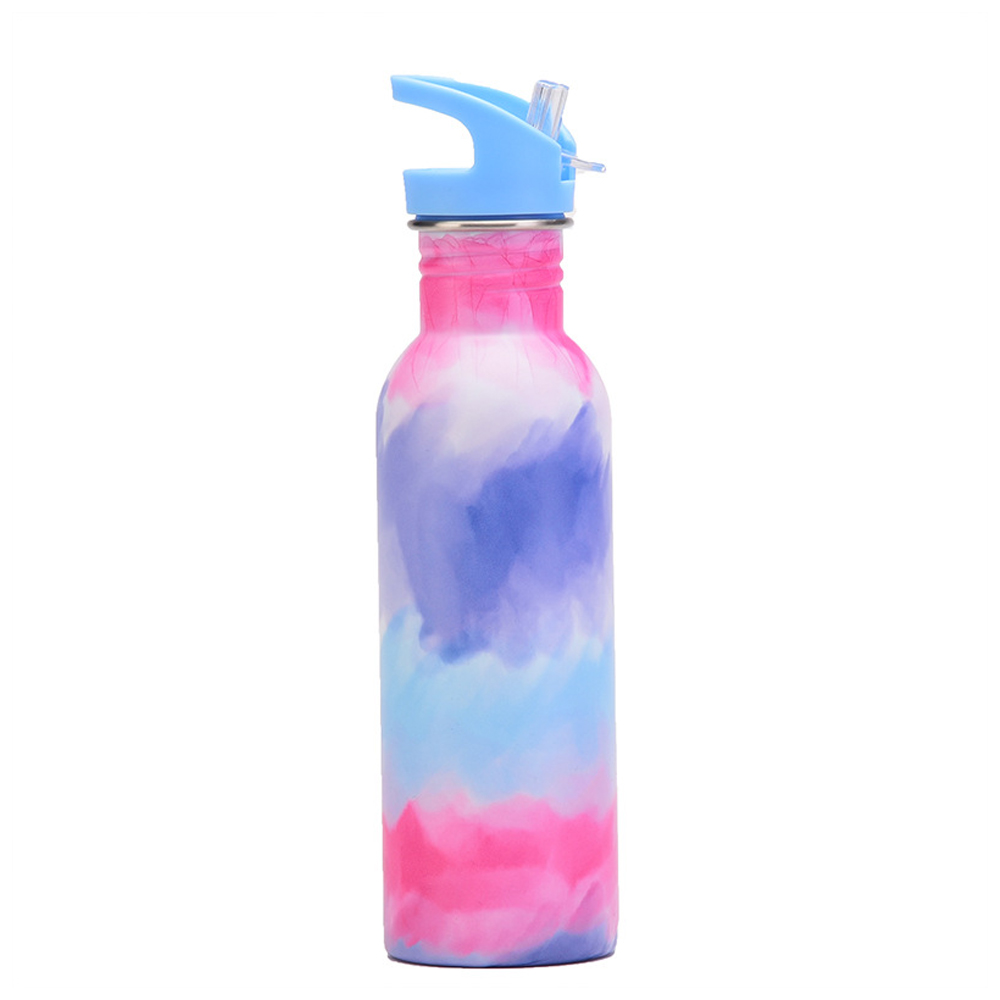 Water bottle, Stainless steel, 750ml, Multicolor - Walmart.com