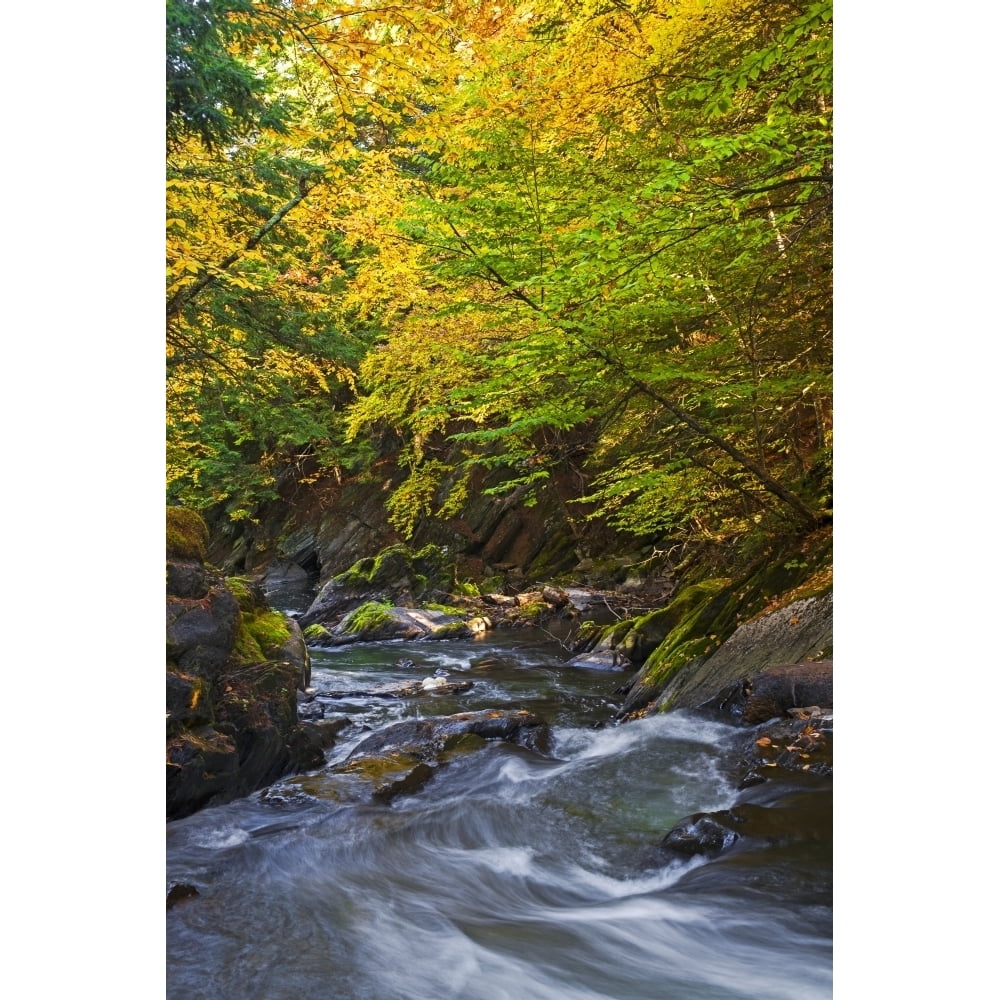 Water flowing in a stream and trees changing colours in autumn; Foster ...