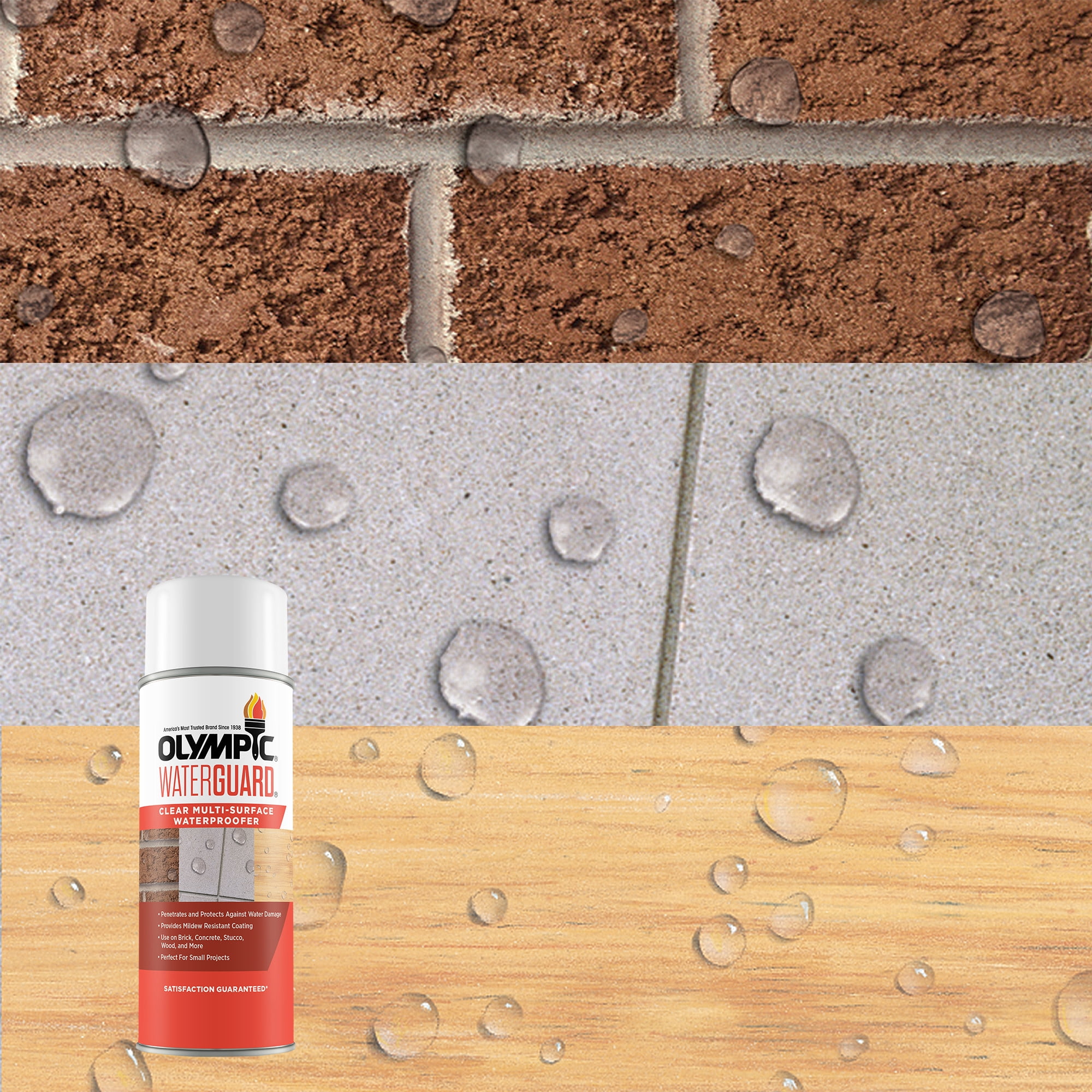 WaterGuard 11 oz. Clear Multisurface Exterior Waterproofing Sealer ...