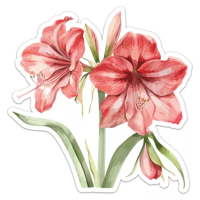 Watercolor Amaryllis Flower Sticker Phone Decal Water Bottle Stickers ...