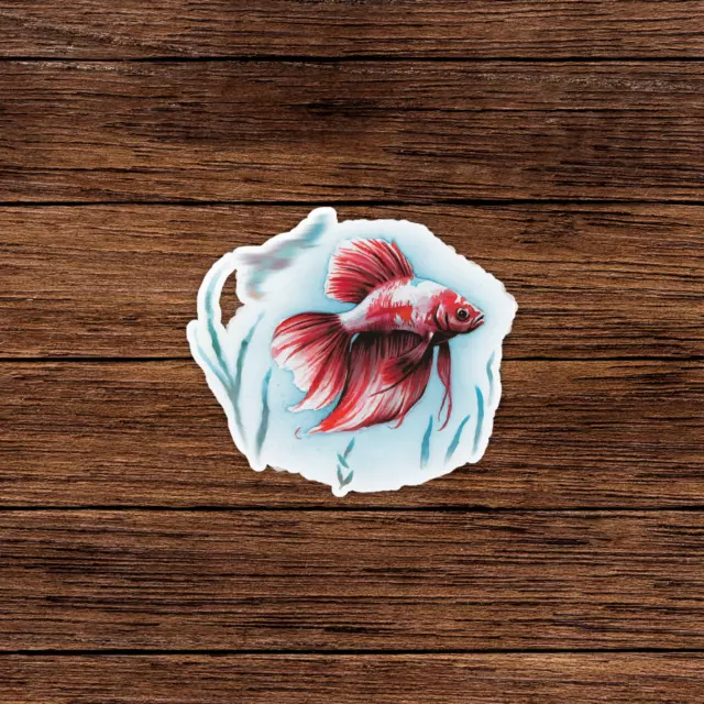 Watercolor Betta Fish Sticker - Colorful Siamese Fighting Fish Aquarium ...