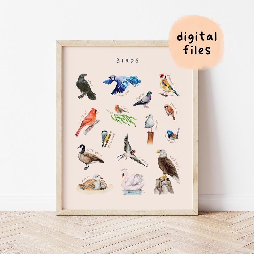 Watercolor Birds Educational Poster, Wild Animals Illustration Print ...